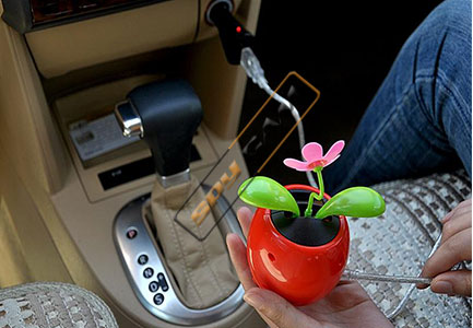 Spy Flower Pot Camera in Delhi India